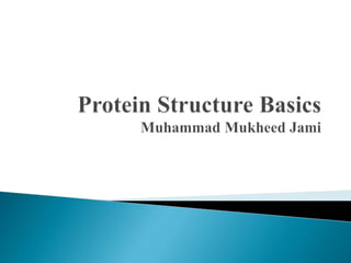 Protein structure basics | PPT