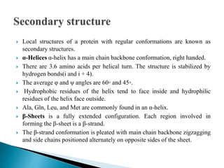 Protein structure basics | PPT