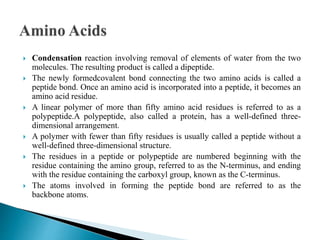 Protein structure basics | PPT