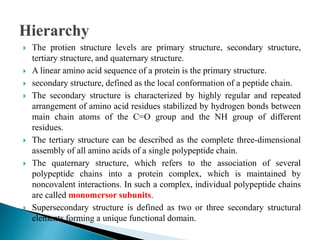 Protein structure basics | PPT