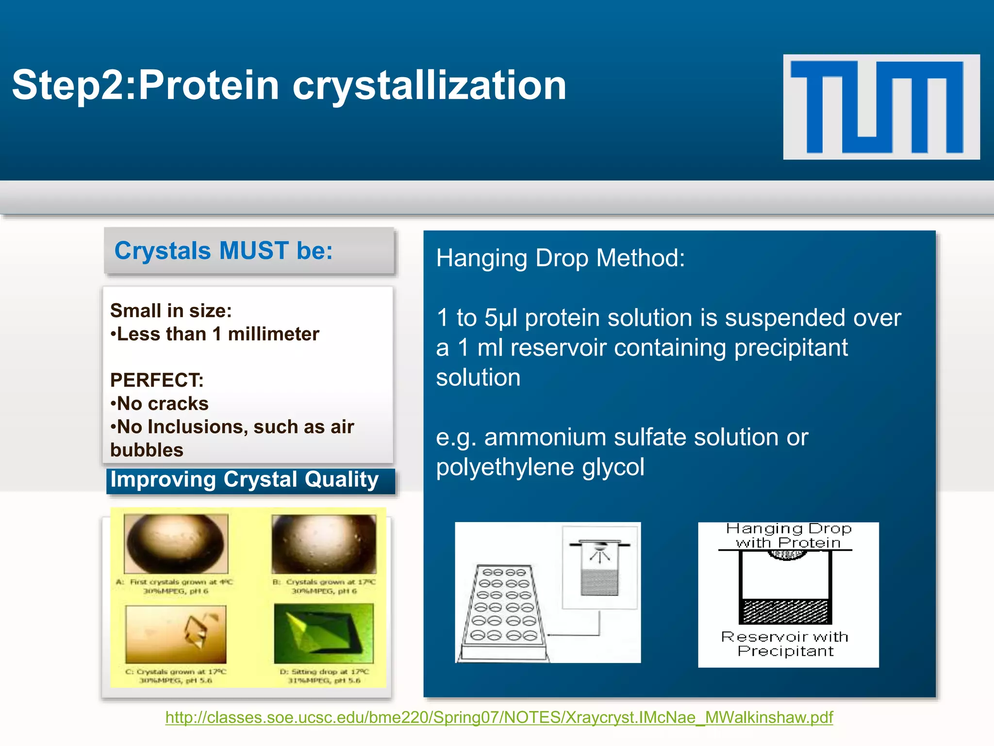 Protein Structure Determination | PPTX