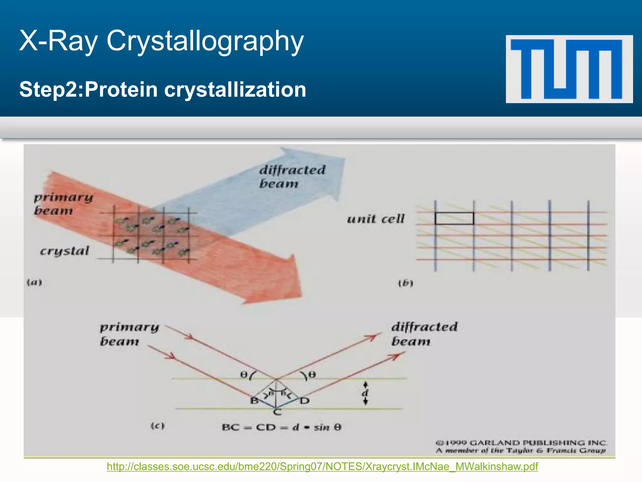 Protein Structure Determination | PPTX