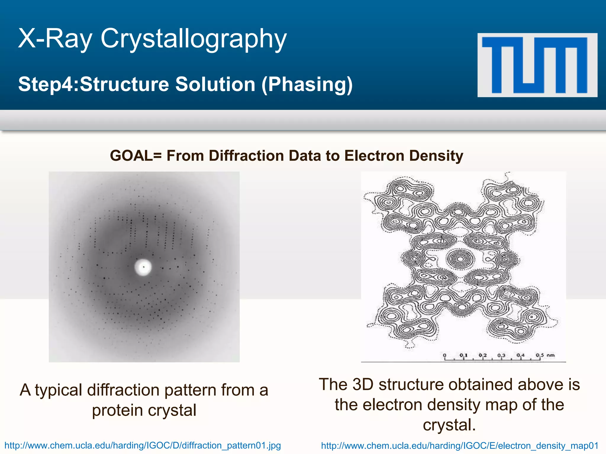 Protein Structure Determination | PPTX