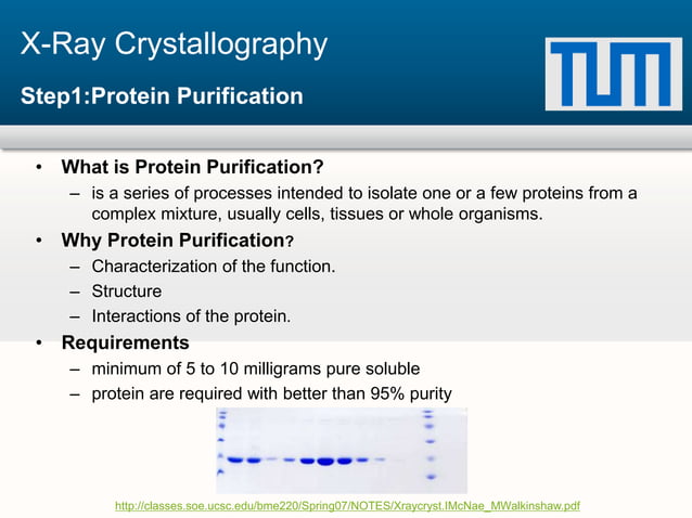 Protein Structure Determination | PPTX | Chemistry | Science