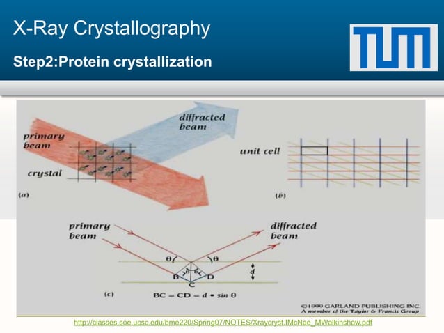 Protein Structure Determination | PPTX | Chemistry | Science