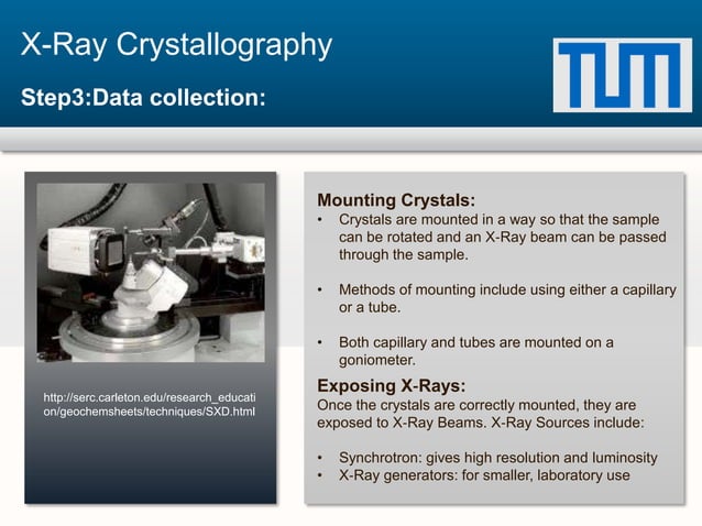 Protein Structure Determination | PPTX | Chemistry | Science
