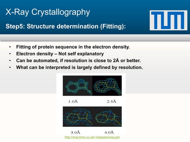 Protein Structure Determination | PPTX | Chemistry | Science