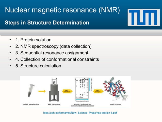 Protein Structure Determination | PPTX | Chemistry | Science