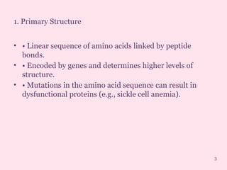 Protein_Structure_presentation_Slides.pptx