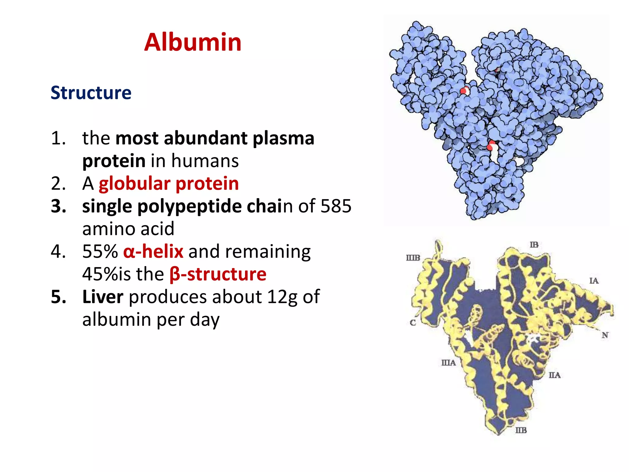 Protein structure | PPT