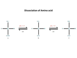 Protein structure | PPT