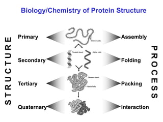 protein structure from genomic and computational biology | PPT