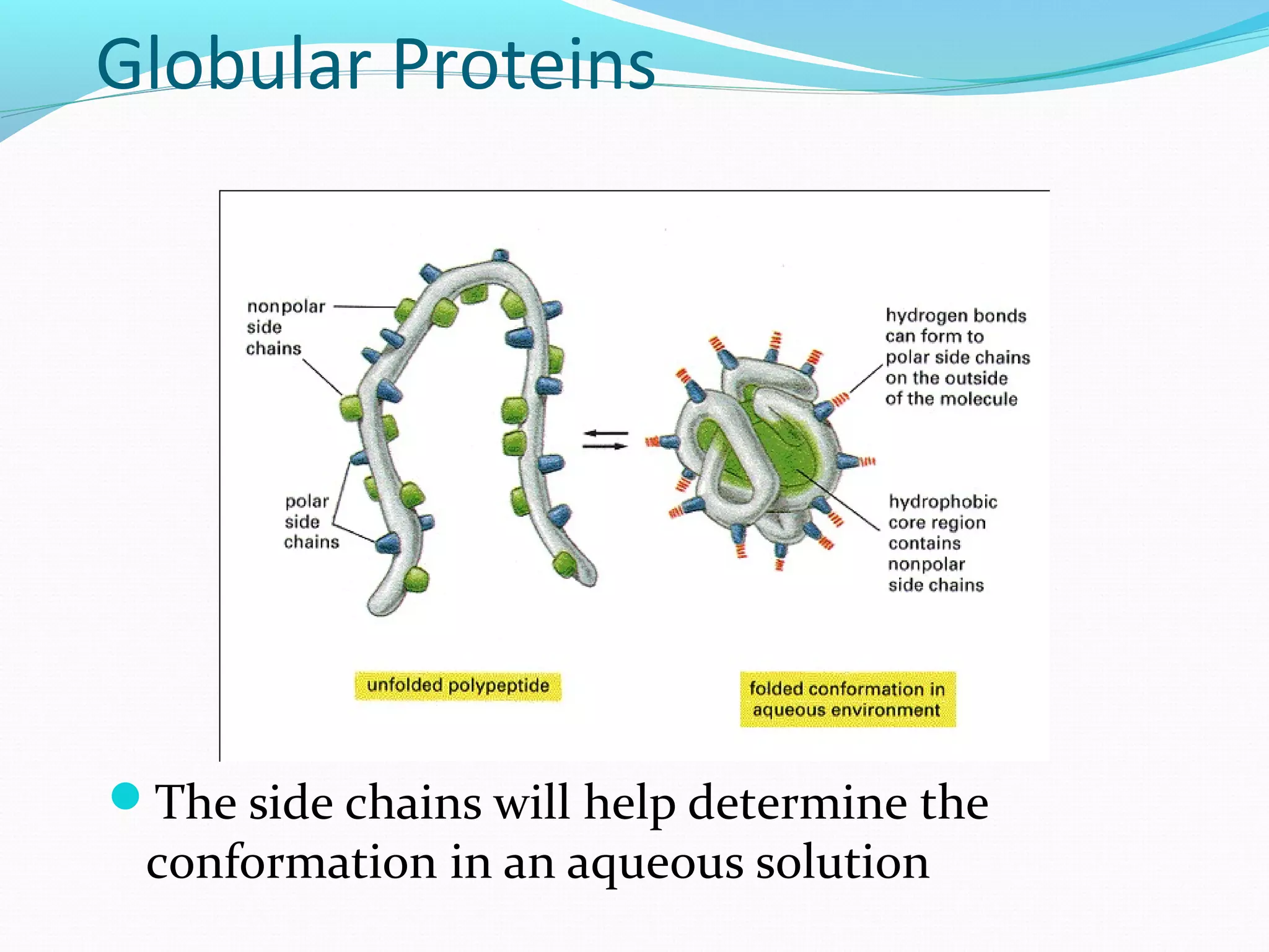 Protein Structure And Function Ppt 1880