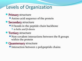 Protein structure & function | PPT
