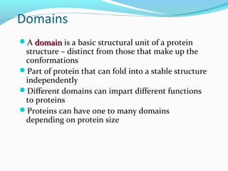 Protein structure & function | PPT