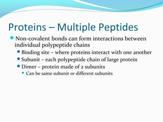 Protein structure & function | PPT
