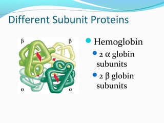 Protein structure & function | PPT