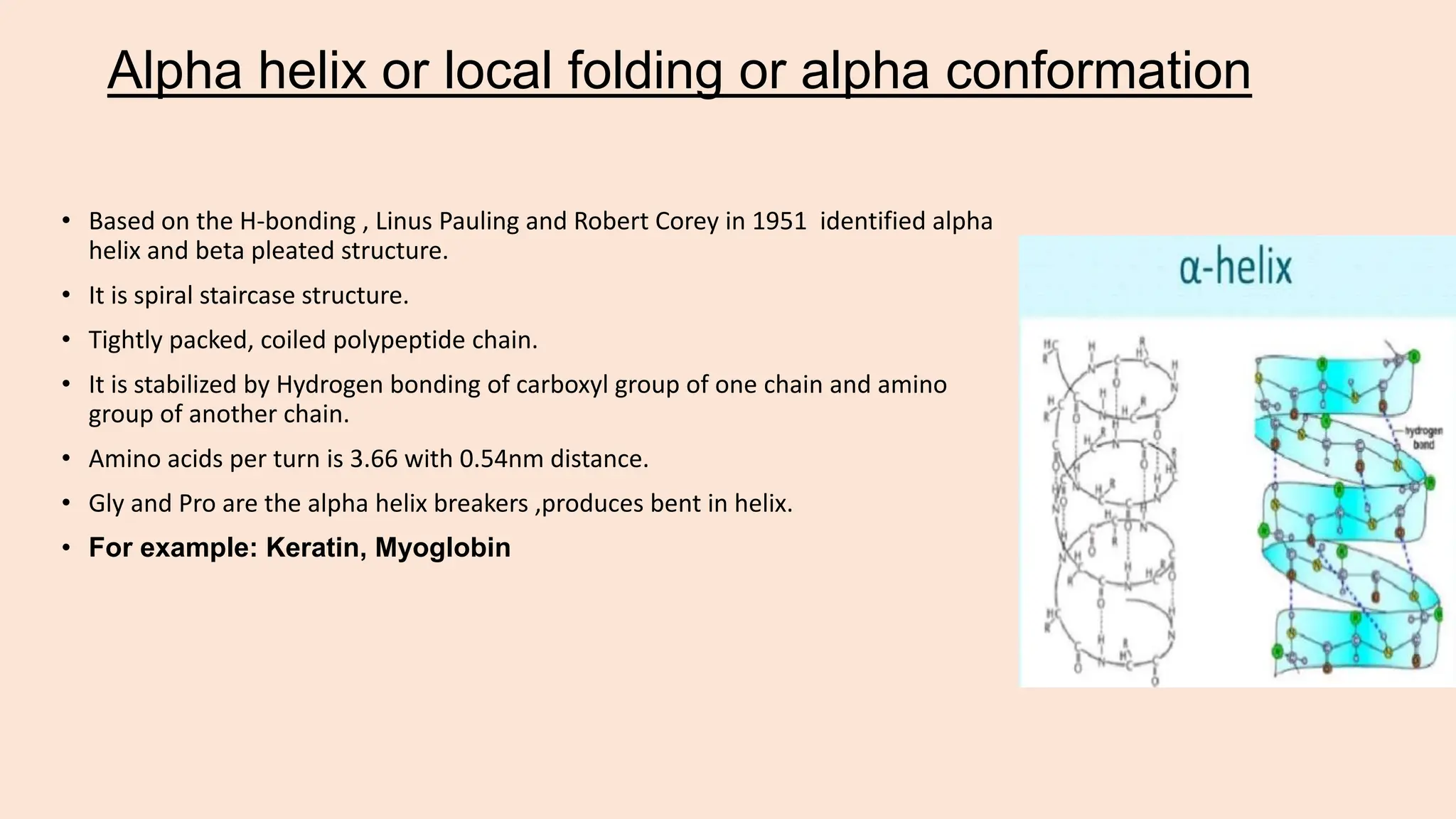 Protein Structure & Function.pptx