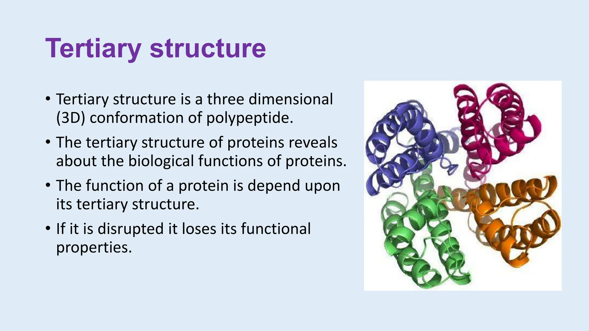 Protein Structure & Function.pptx