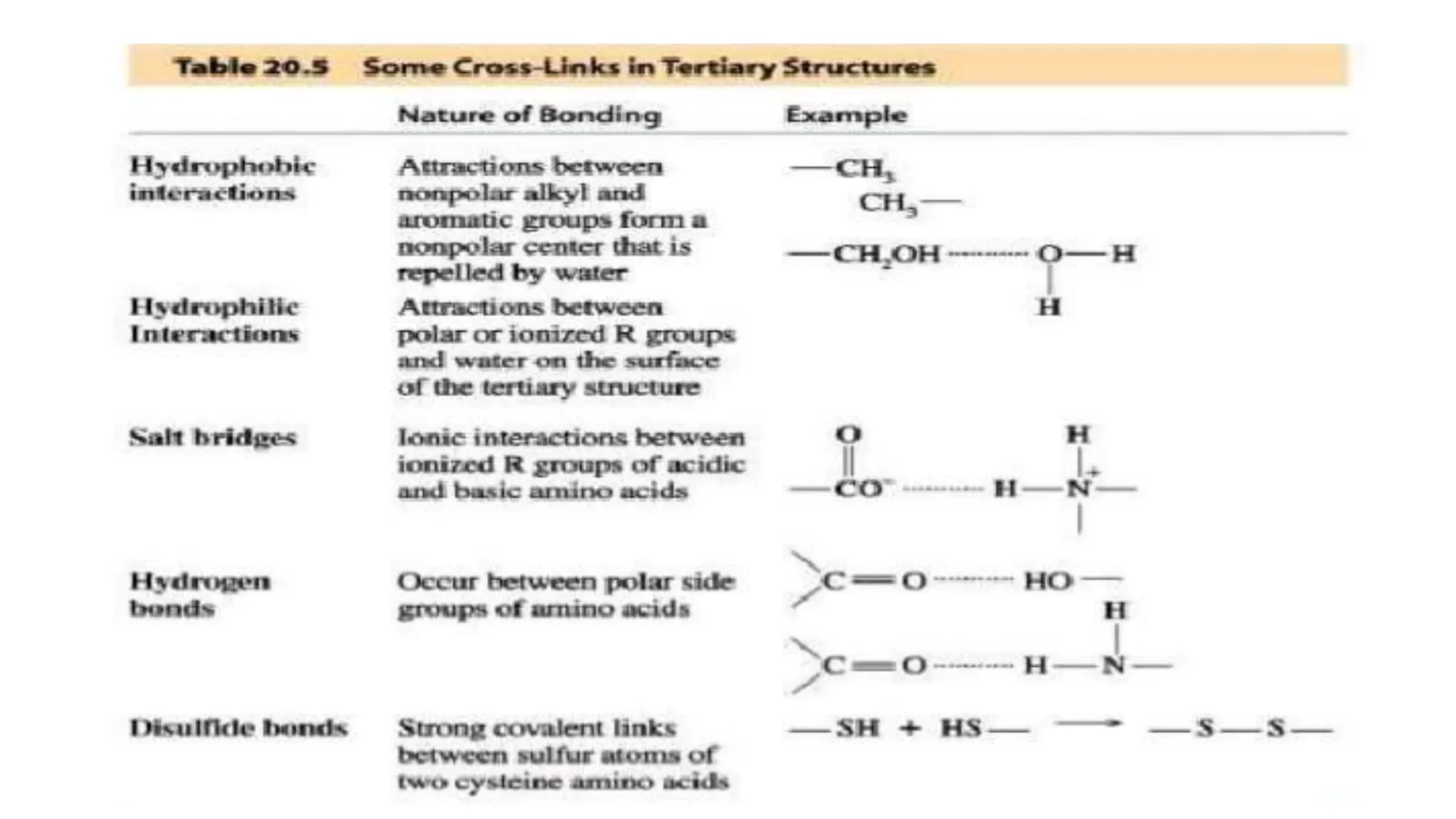 Protein Structure & Function.pptx