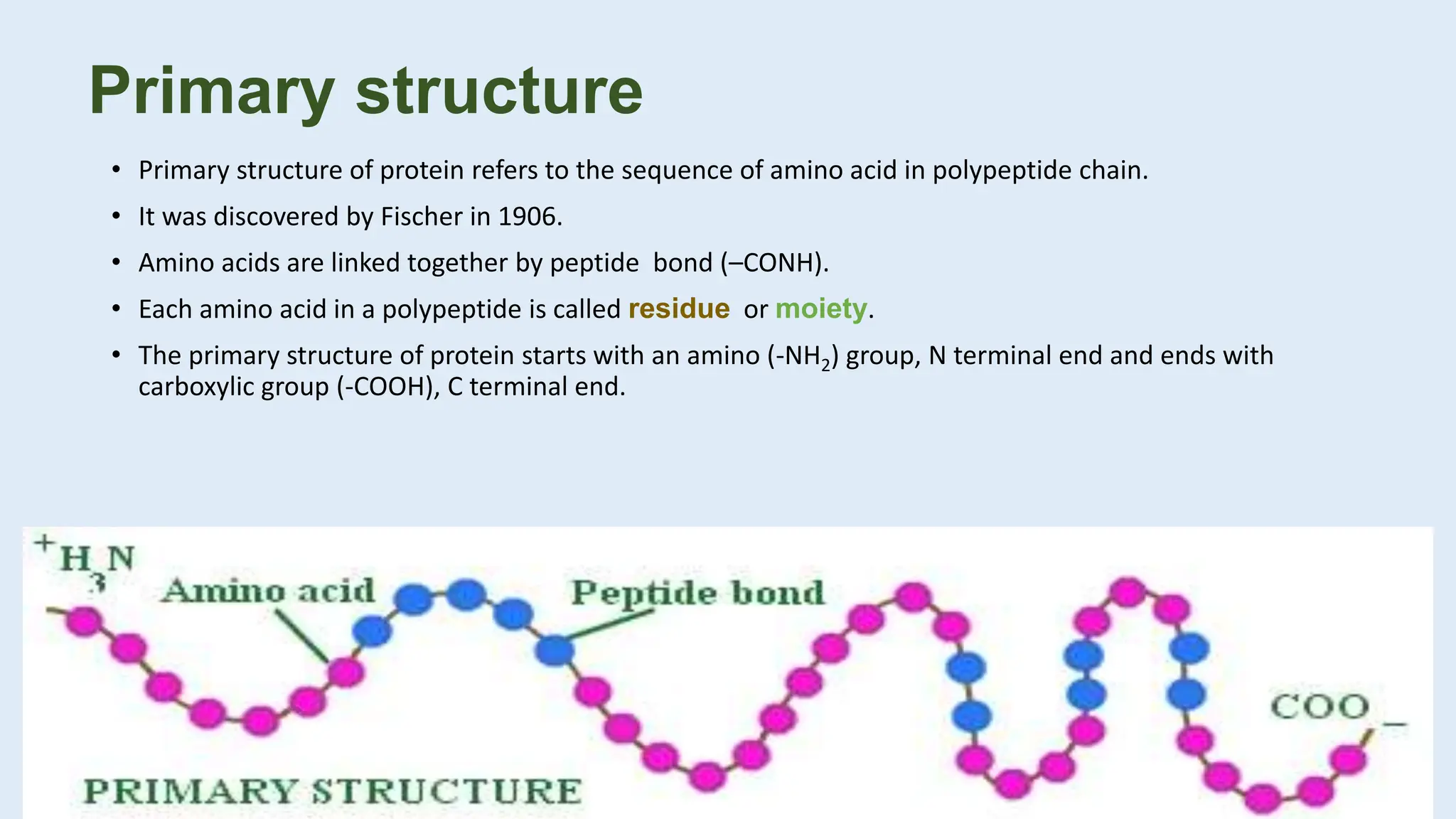 Protein Structure & Function.pptx