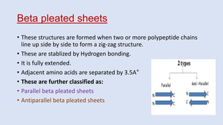 Protein Structure & Function.pptx