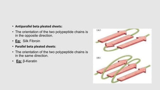 Protein Structure & Function.pptx