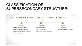 Protein Structure & Function.pptx