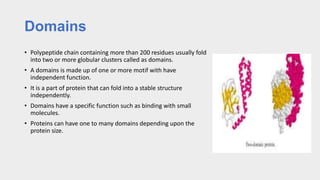 Protein Structure & Function.pptx