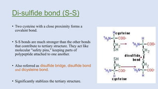 Protein Structure & Function.pptx