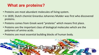 Protein Structure & Function.pptx