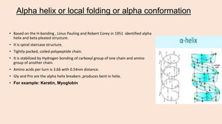 Protein Structure & Function.pptx