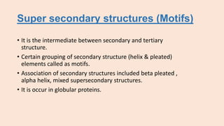 Protein Structure & Function.pptx