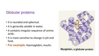 Protein Structure & Function.pptx