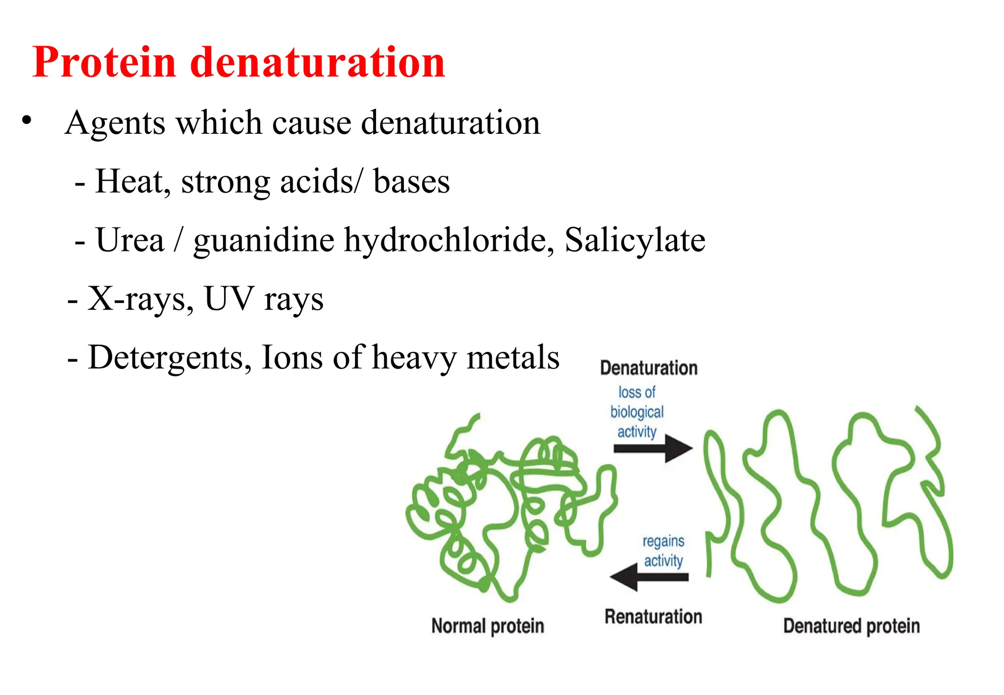 PROTEIN STRUCTURE & FUNCTION by Dr DKV 2023.ppt