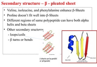 PROTEIN STRUCTURE & FUNCTION by Dr DKV 2023.ppt