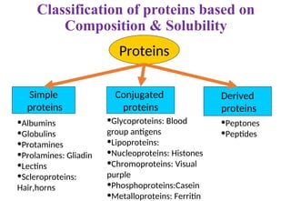PROTEIN STRUCTURE & FUNCTION by Dr DKV 2023.ppt