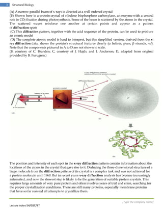 structural biology-Protein structure function relationship | PDF