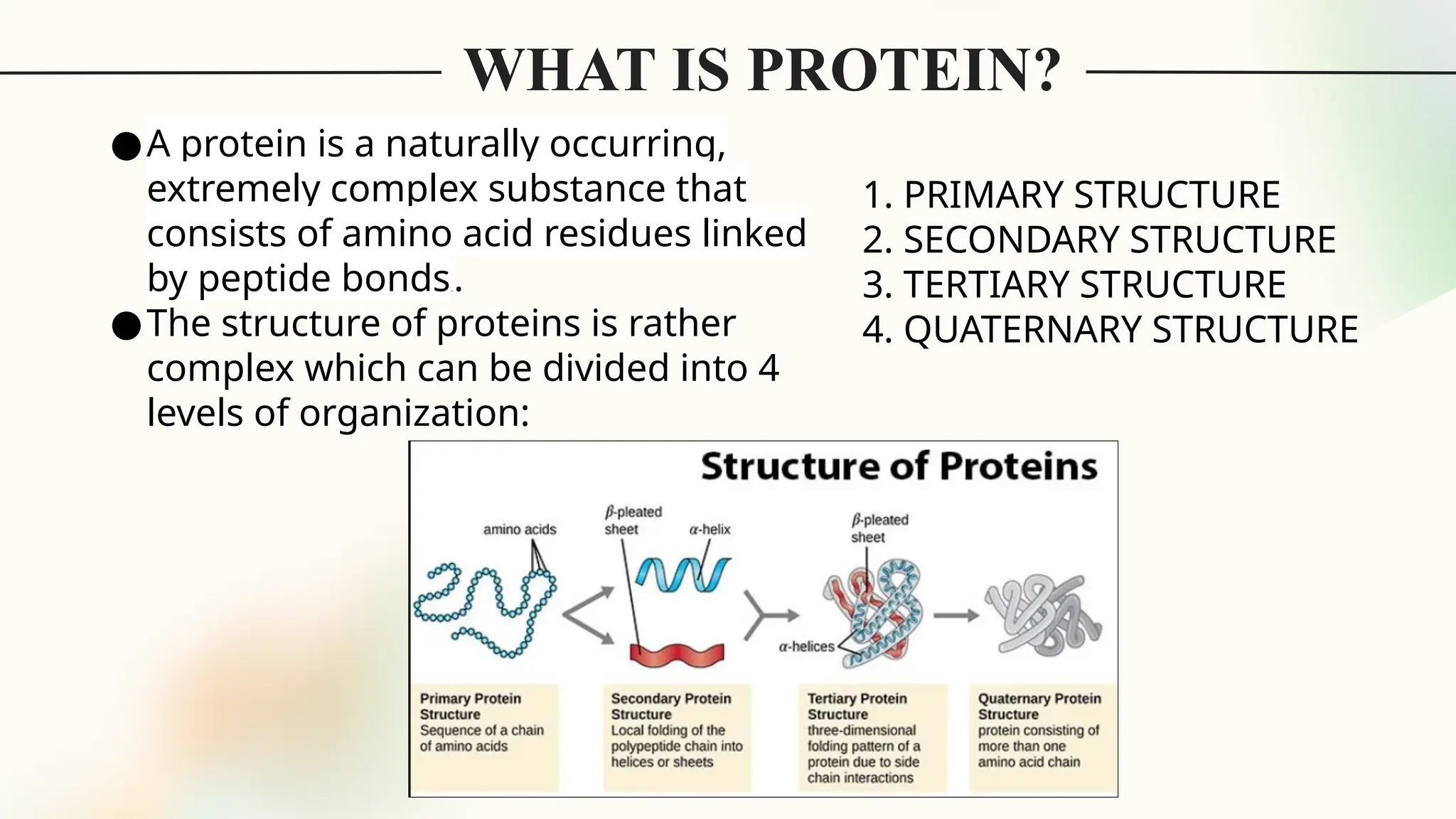 Protein structure levels- tertiary, quaternary & Ramachandran plot..pptx