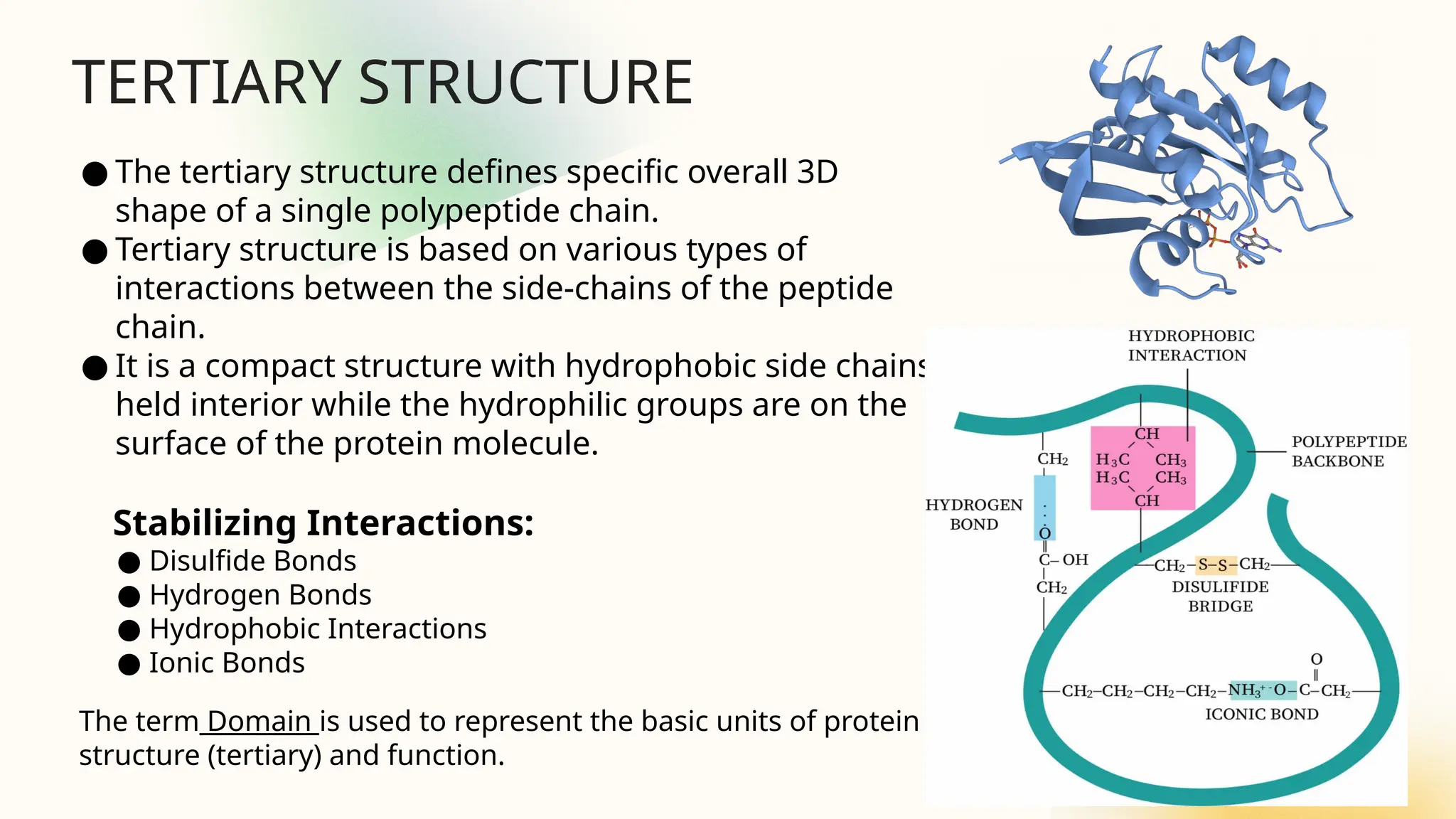 Protein structure levels- tertiary, quaternary & Ramachandran plot..pptx