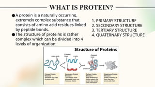 Protein structure levels- tertiary, quaternary & Ramachandran plot..pptx
