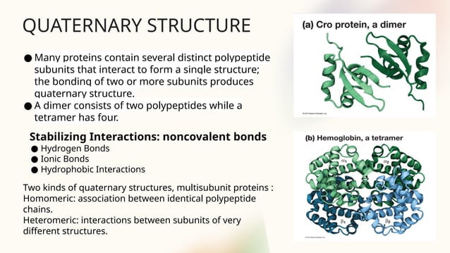 Protein structure levels- tertiary, quaternary & Ramachandran plot..pptx