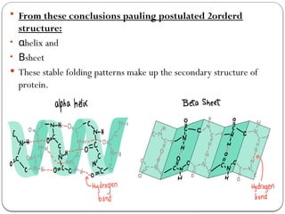 Protein structure, levels of protein structure,.pptx