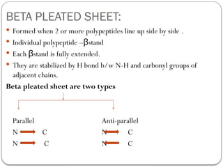 Protein structure, levels of protein structure,.pptx