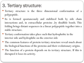 Protein structure, levels of protein structure,.pptx