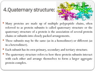 Protein structure, levels of protein structure,.pptx