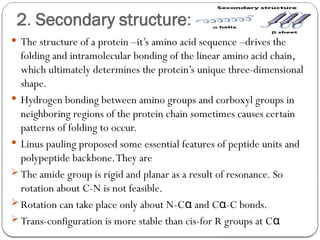 Protein structure, levels of protein structure,.pptx