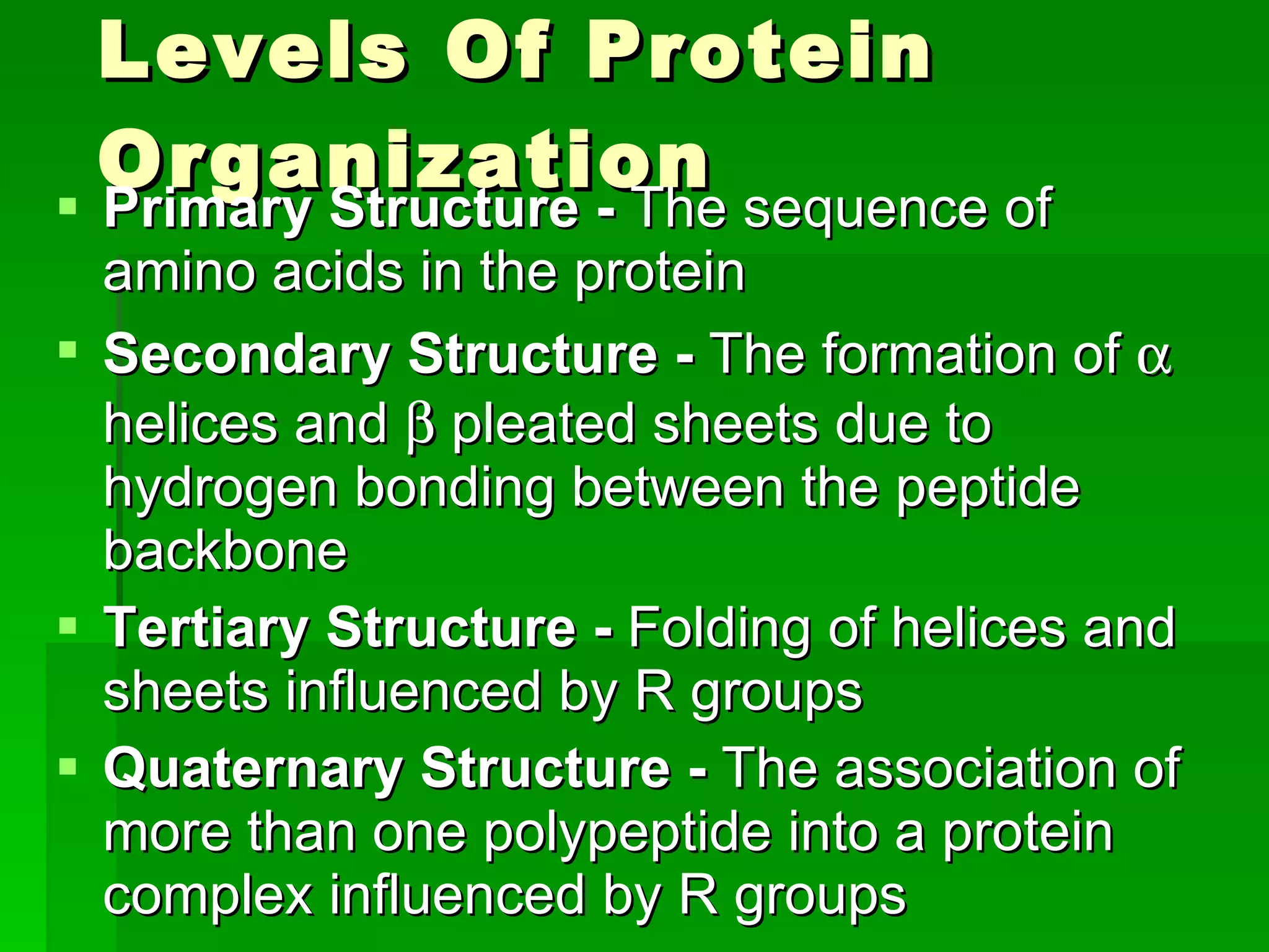 Protein Structure & Function | PPT