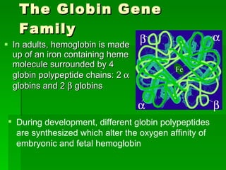 Protein Structure & Function | PPT