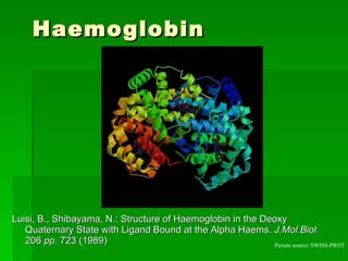Protein Structure & Function | PPT